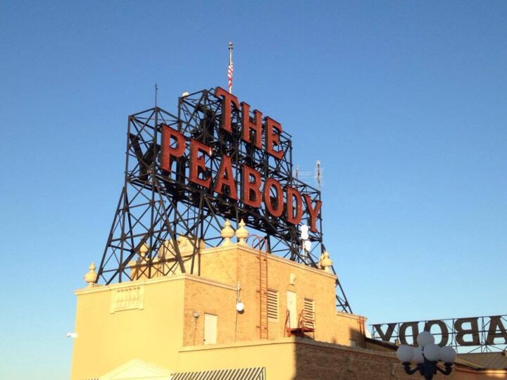 Things to Do in Memphis for Families - Sweet T Makes Three