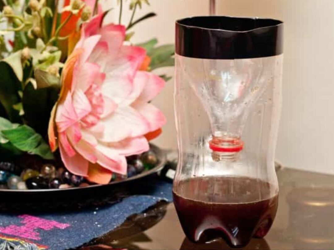 Make a DIY Fly Trap with Household Items! Cheap, easy, and effective