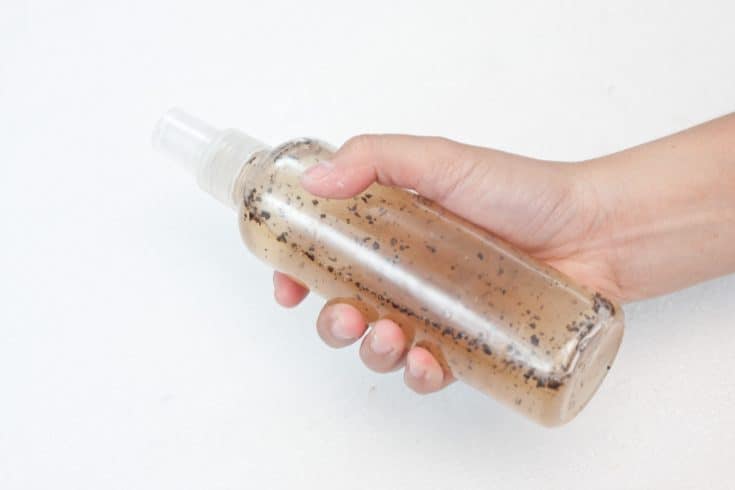 DIY Natural Ant Killer - Pet safe indoor homemade ant killer