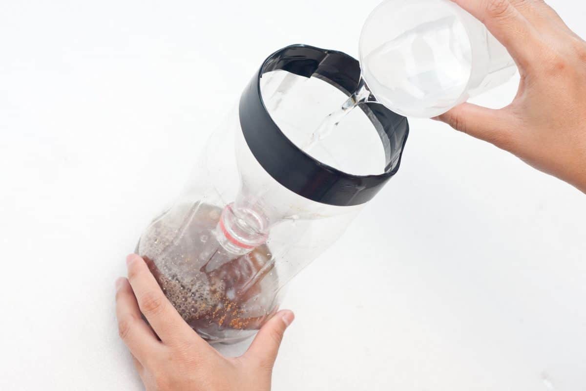 Make a DIY Fly Trap with Household Items! Cheap, easy, and effective