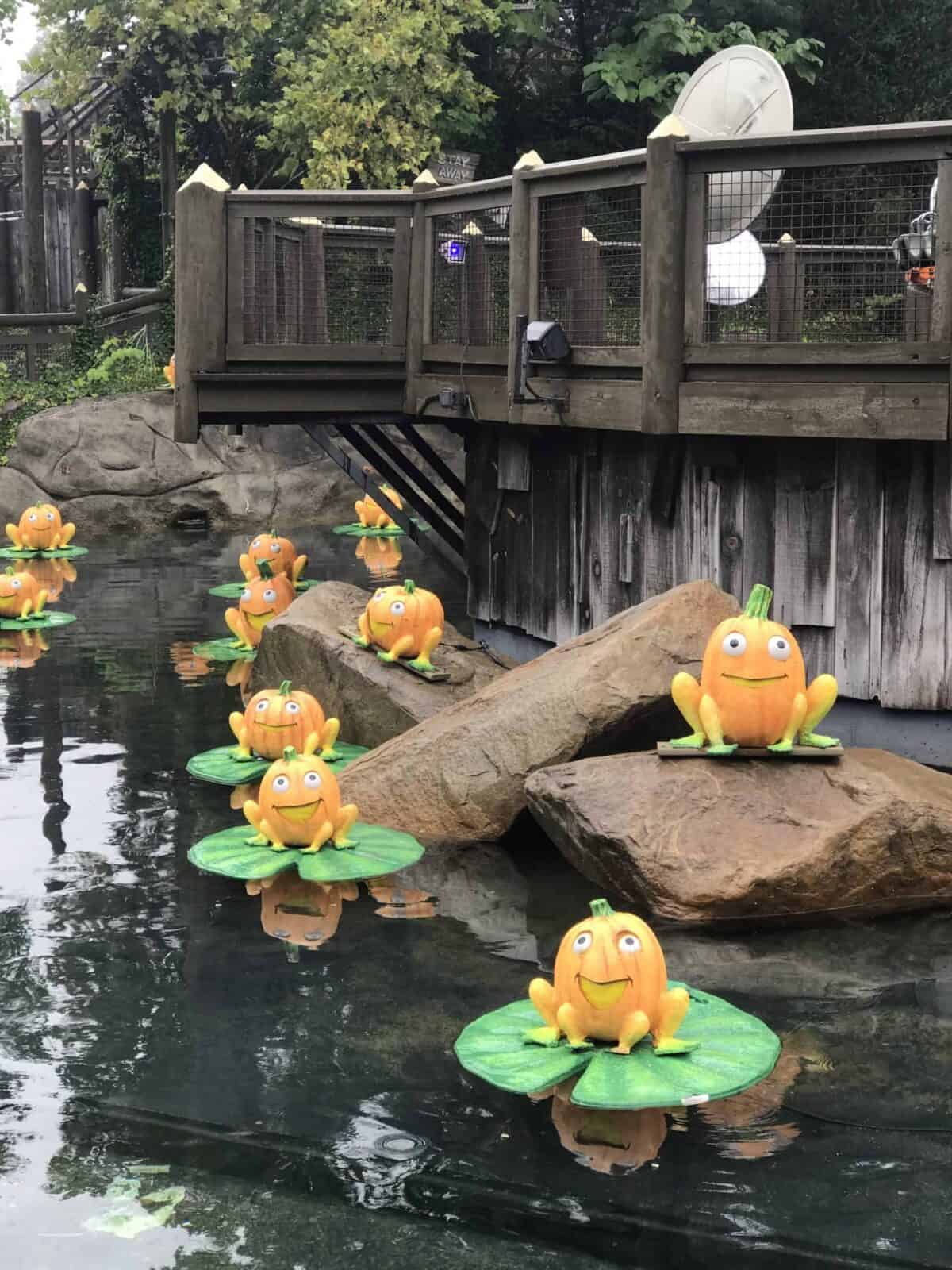 Dollywood Harvest Festival - Sweet T Makes Three